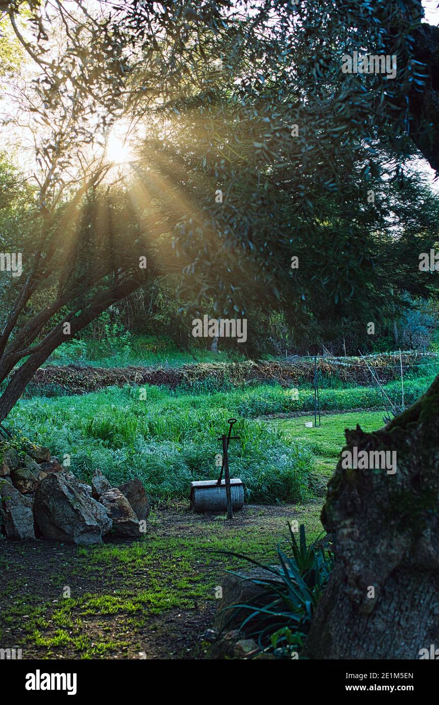 Portugal / Santarem /The garden of the Convento Inn in Chamusca Stock ...