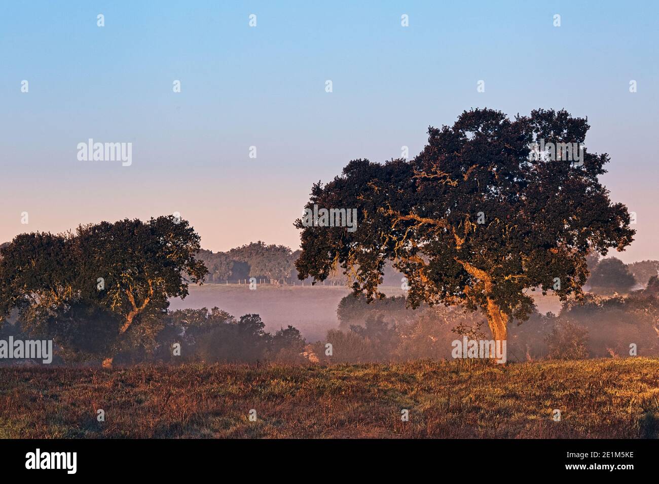 Portugal / Alentejo/ Well known for its unique and peaceful landscapes ...
