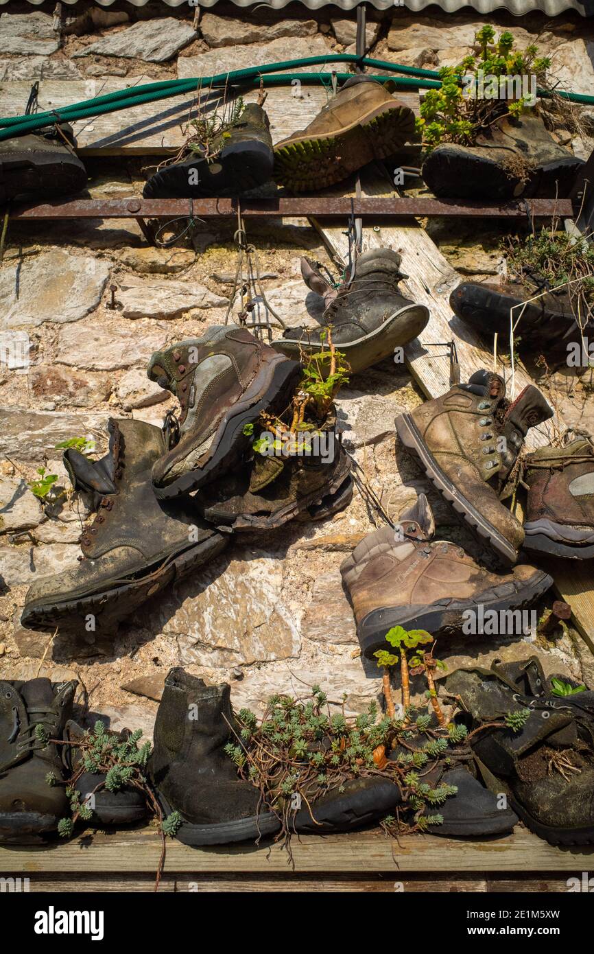 Old worn out walking hiking boots on a wall hi-res stock photography ...