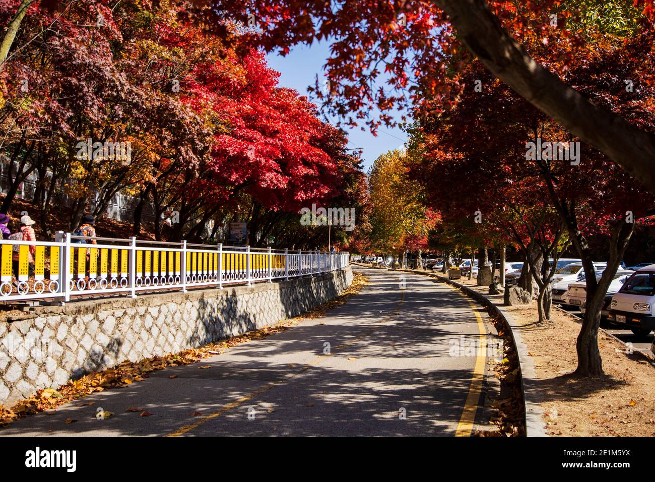 colorful Autumn scenery Stock Photo - Alamy