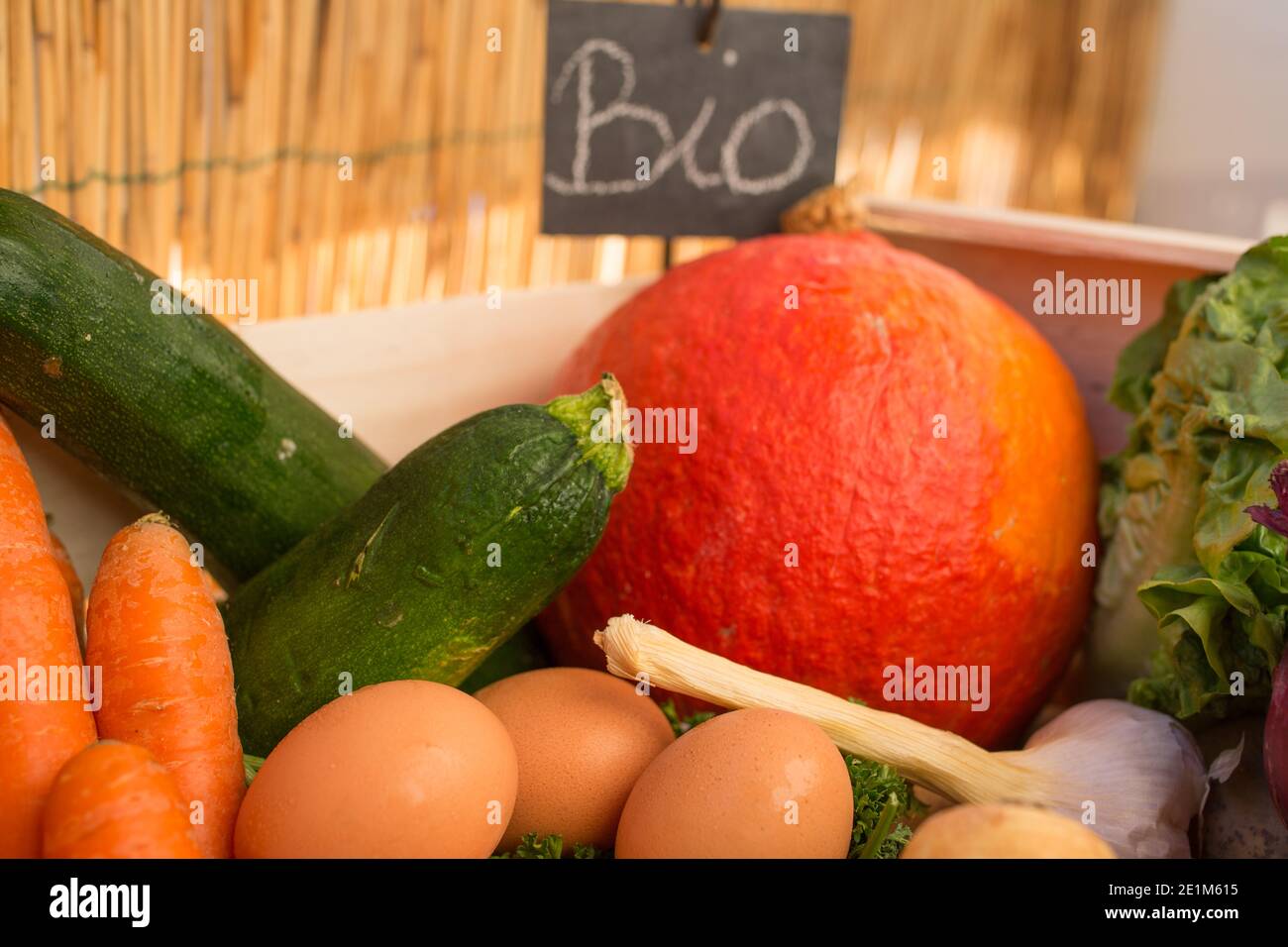 Seasonal diversity hi-res stock photography and images - Alamy