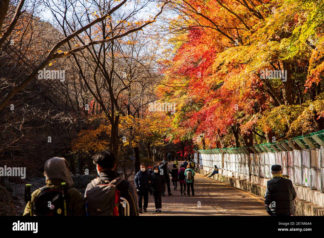 colorful Autumn scenery Stock Photo - Alamy