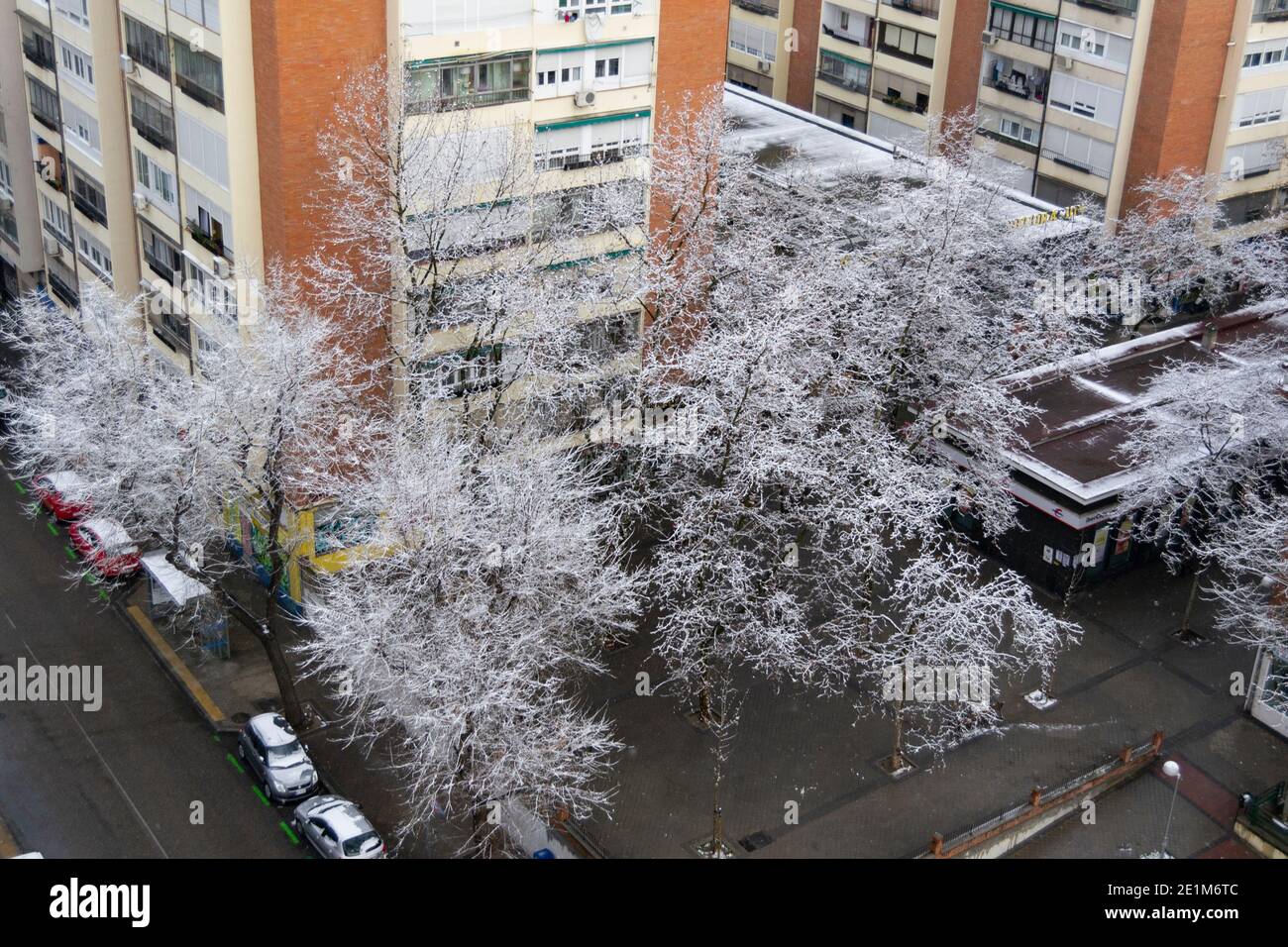 Snow. Blair. Wind. Street. Winter. Cold. Record. White cloak. Forest ...