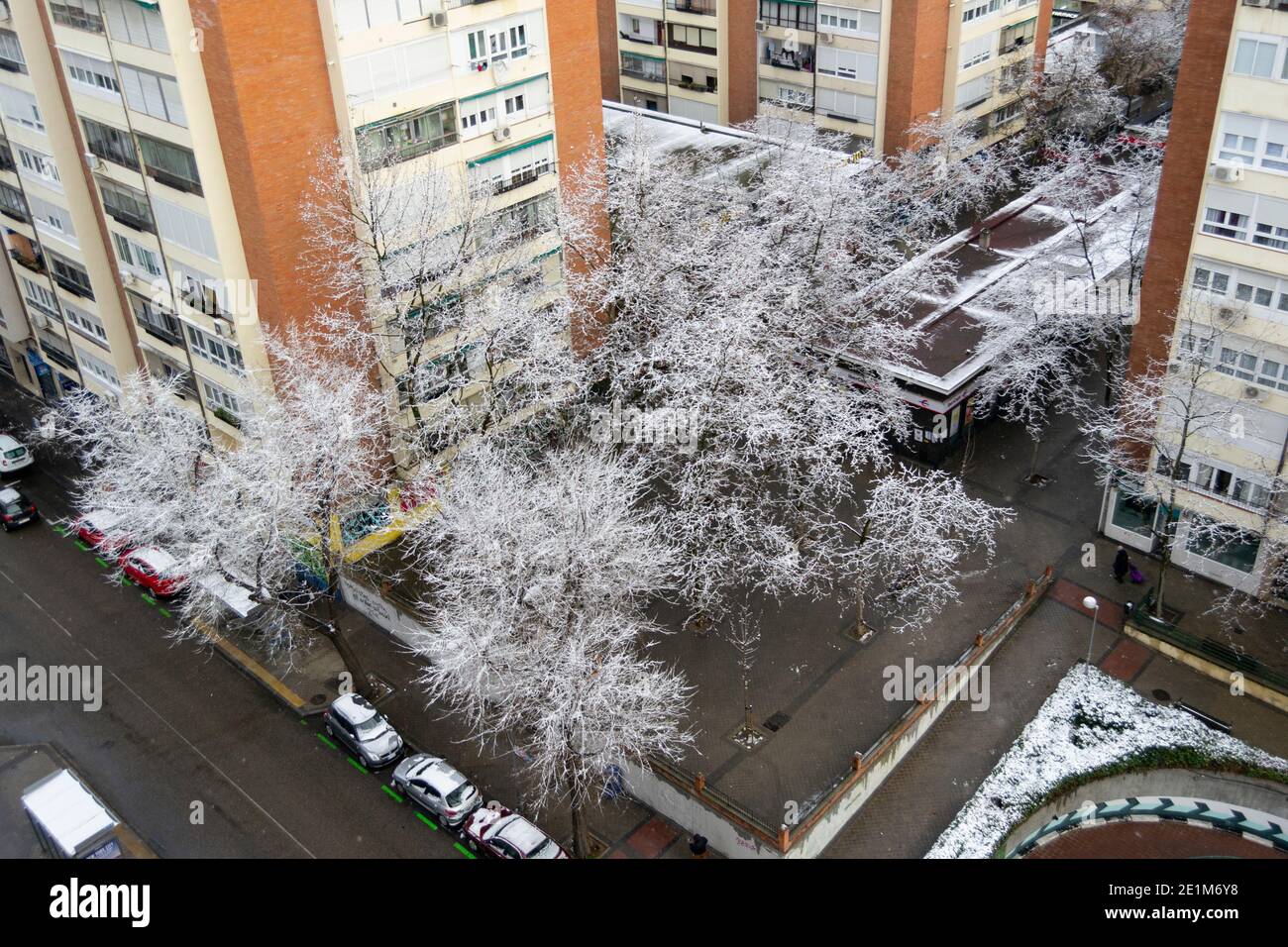 Snow. Blair. Wind. Street. Winter. Cold. Record. White cloak. Forest ...