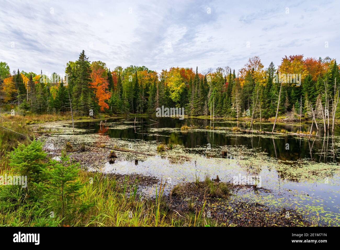 Three Brothers waterfalls Conservation Area Kinmount Ontario Canada in ...