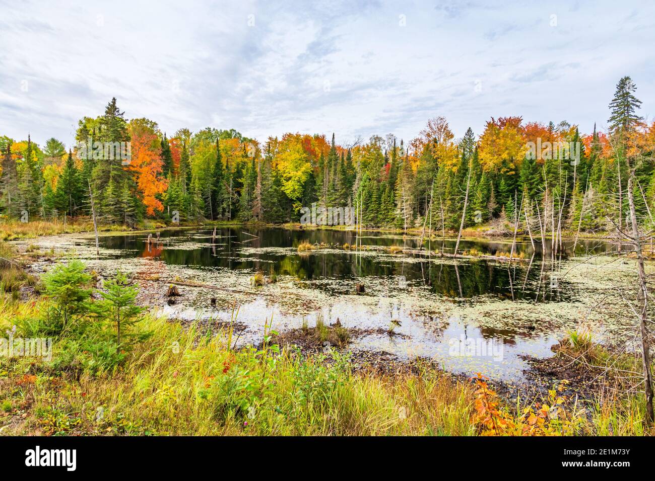 Kinmount hi-res stock photography and images - Alamy