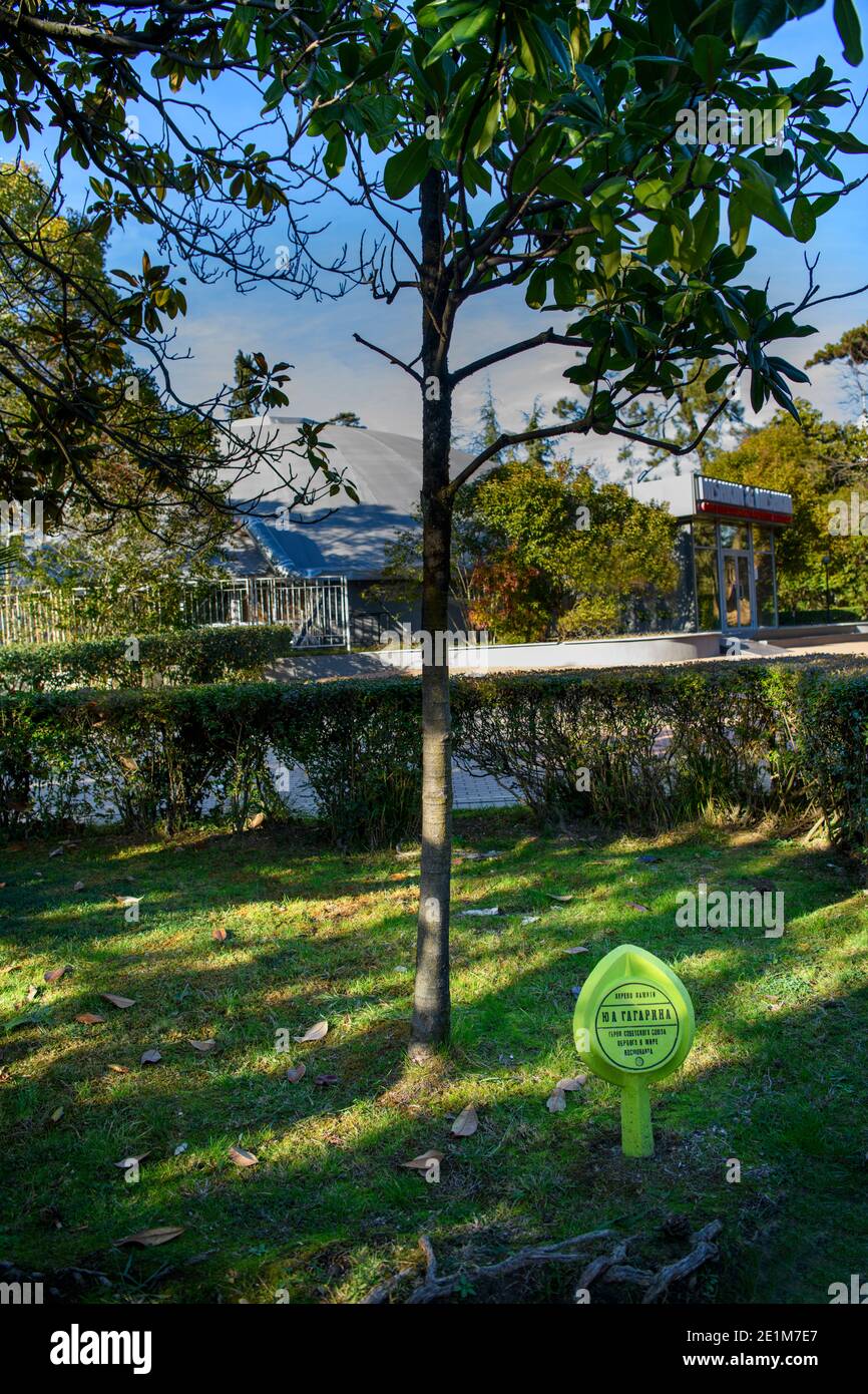 Yuri park hi-res stock photography and images - Alamy