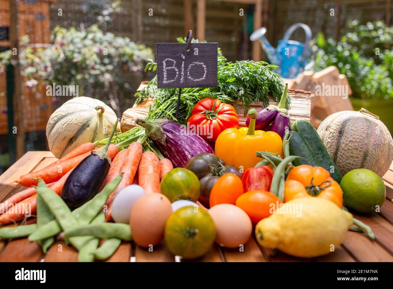 Assortment of vegetables hi-res stock photography and images - Alamy