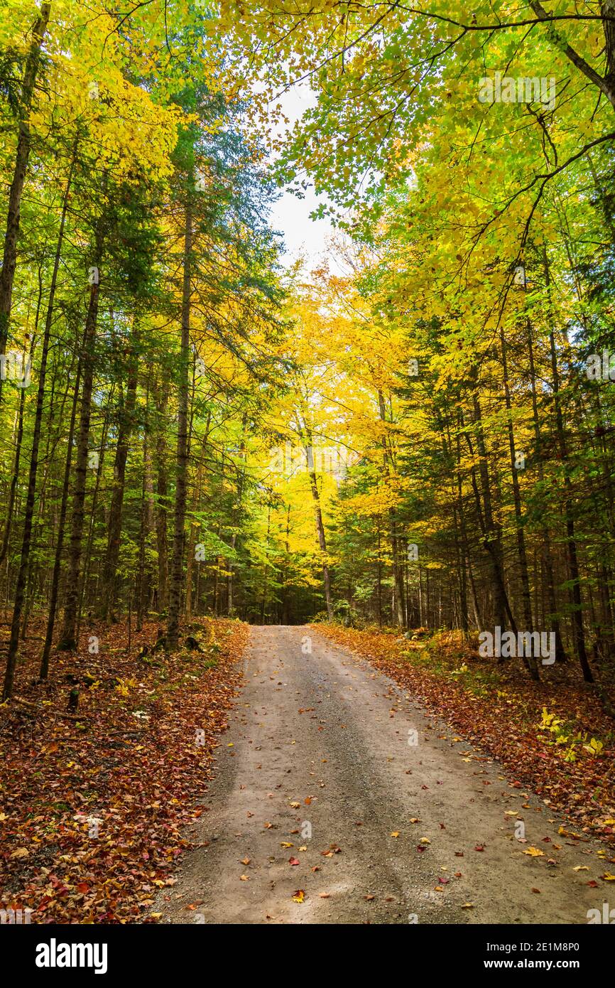 Three Brothers waterfalls Conservation Area Kinmount Ontario Canada in ...