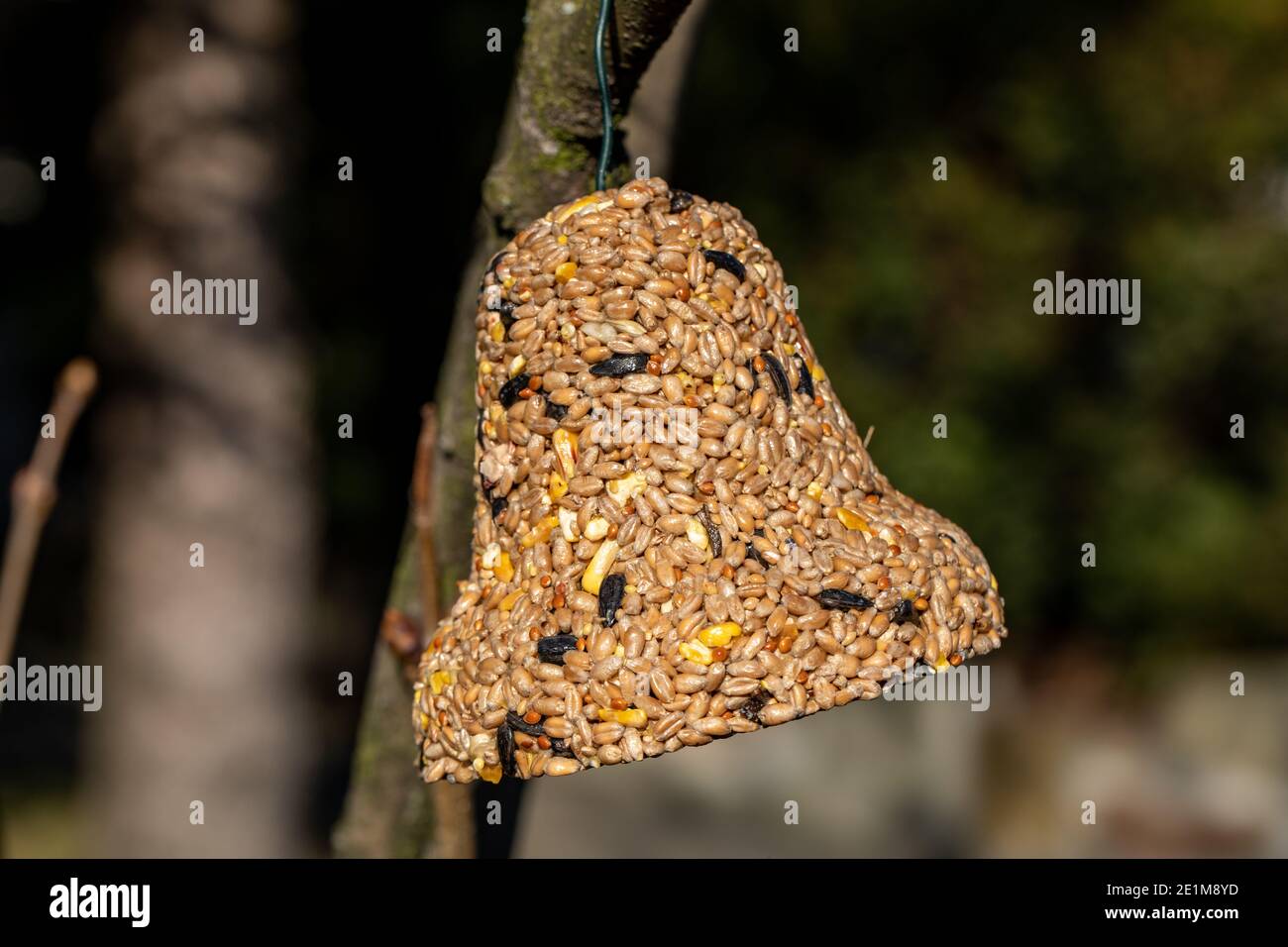 Bell from various grains, a delicacy for all the birds in the garden ...
