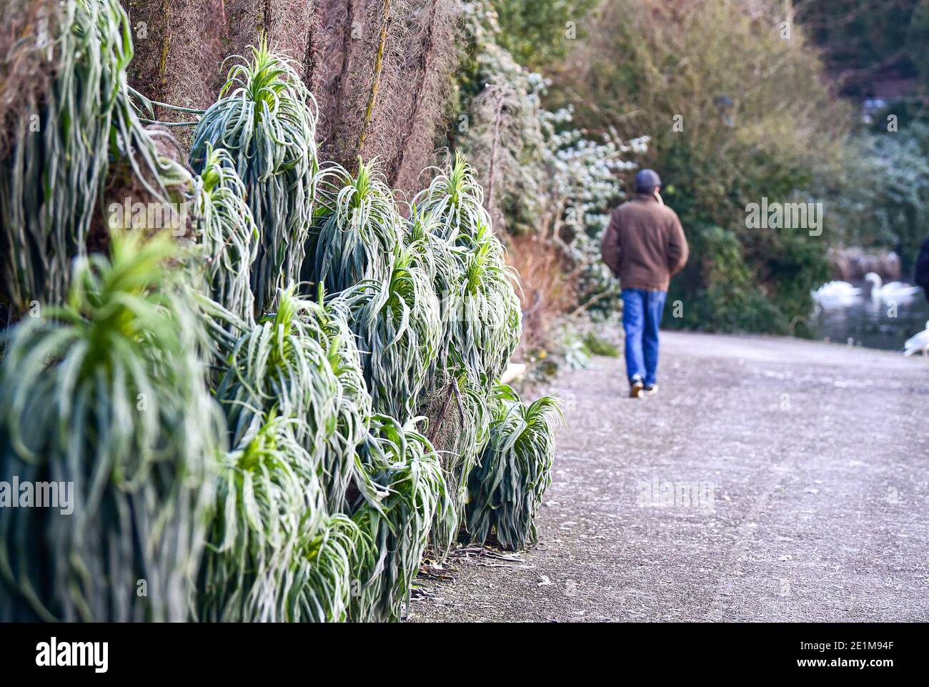 Cold weather england hi-res stock photography and images - Alamy