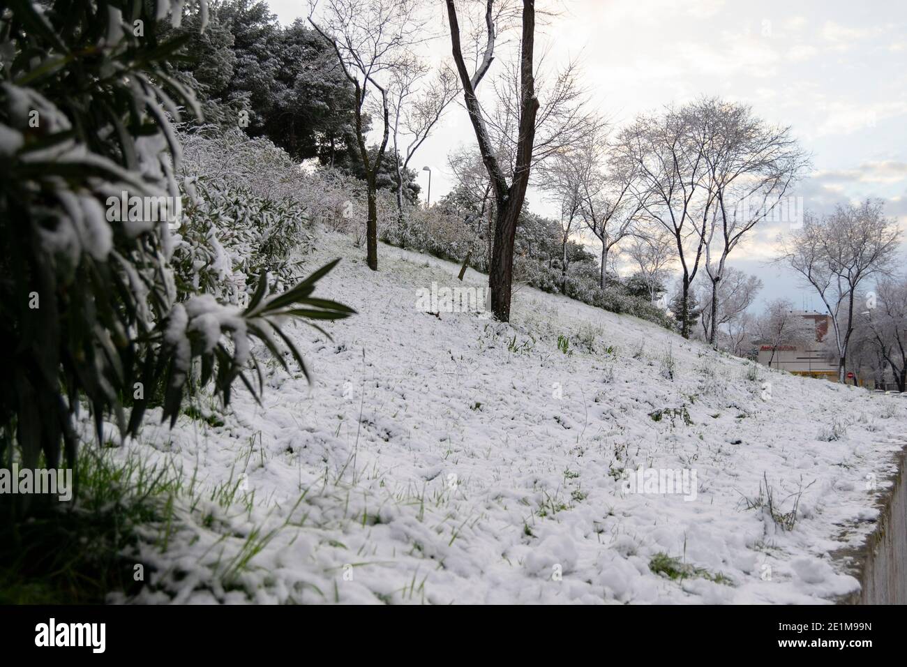 Snow. Blair. Wind. Street. Winter. Cold. Record. White cloak. Forest ...
