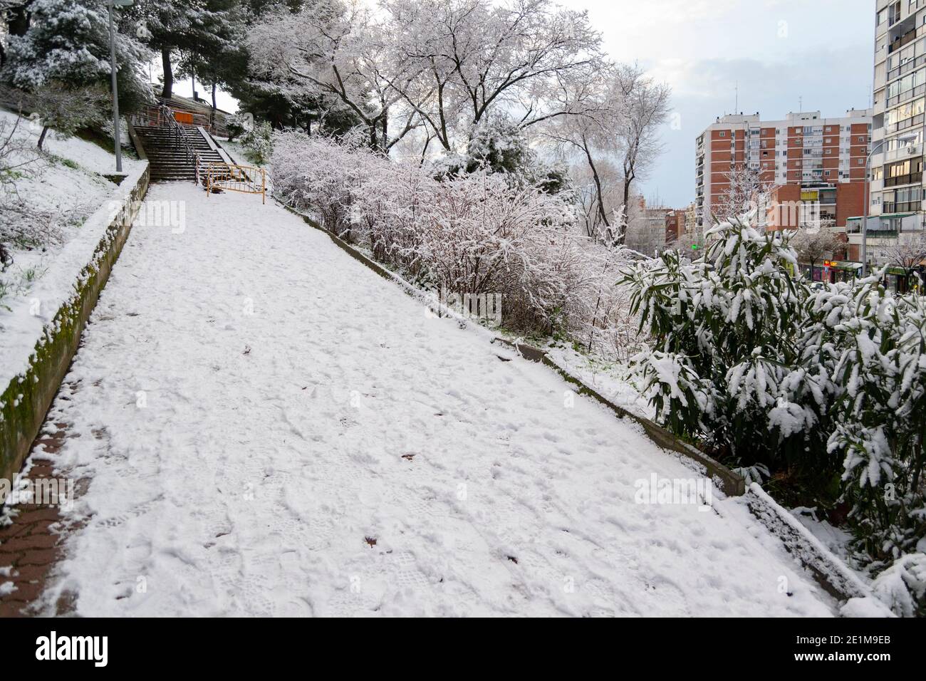 Snow. Blair. Wind. Street. Winter. Cold. Record. White cloak. Forest ...