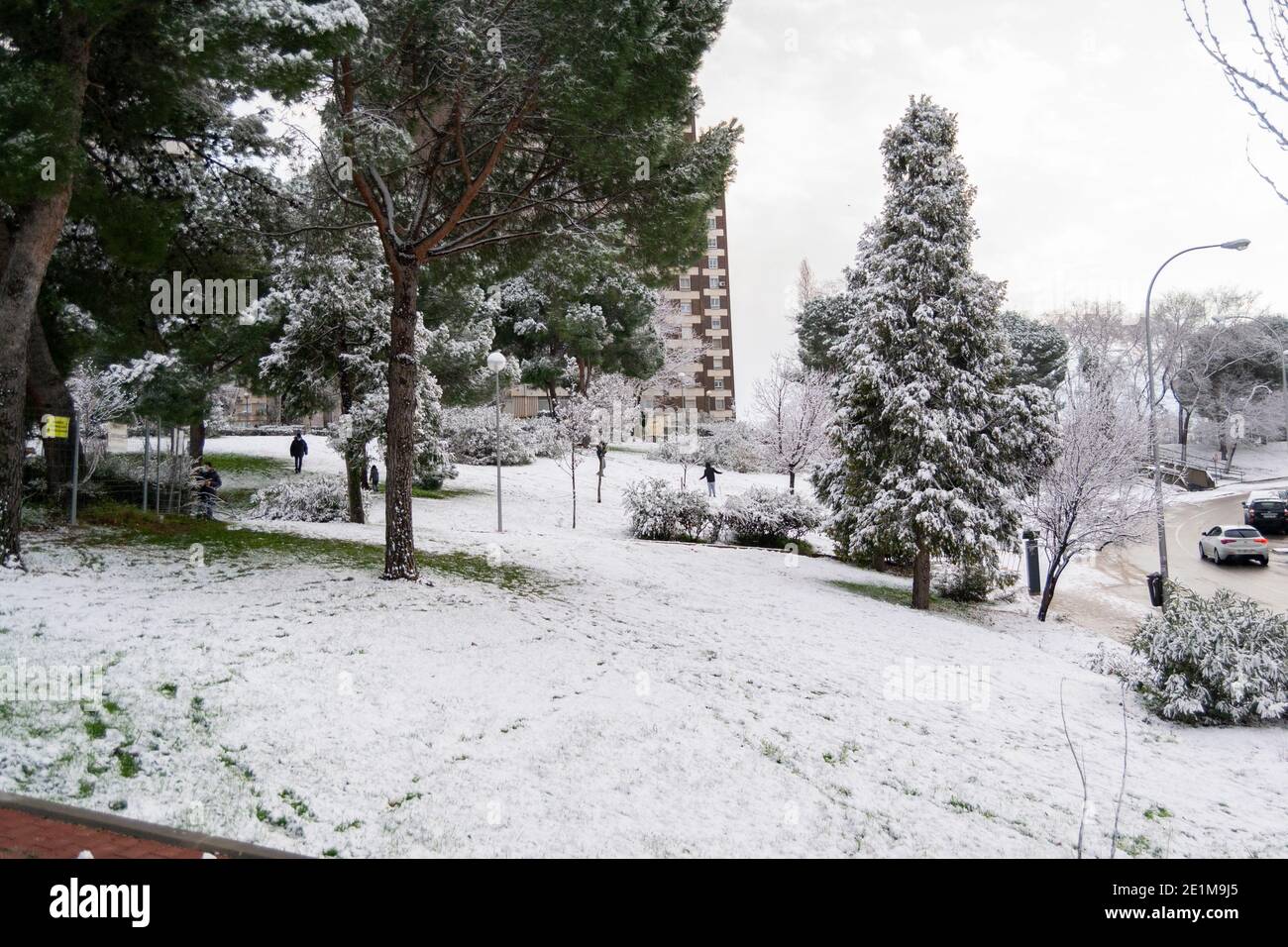 Snow. Blair. Wind. Street. Winter. Cold. Record. White cloak. Forest ...