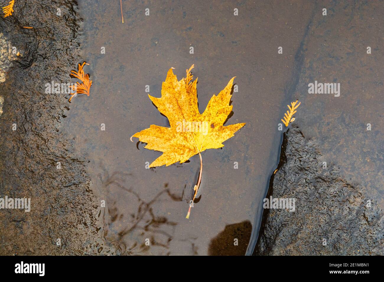 Ritchie falls conservation area minden hills haliburton ontario canada ...