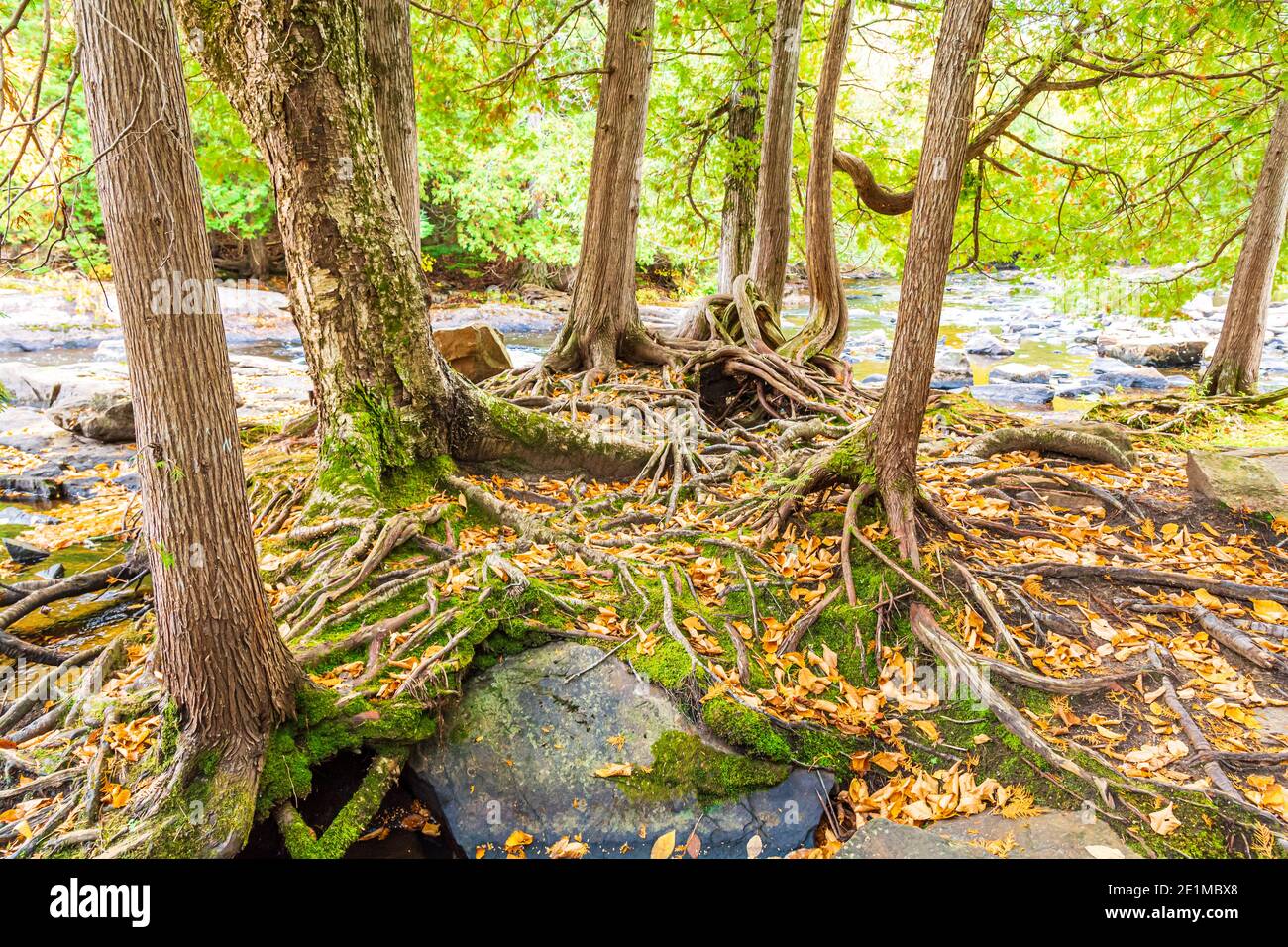 Ritchie falls conservation area minden hills haliburton ontario canada ...