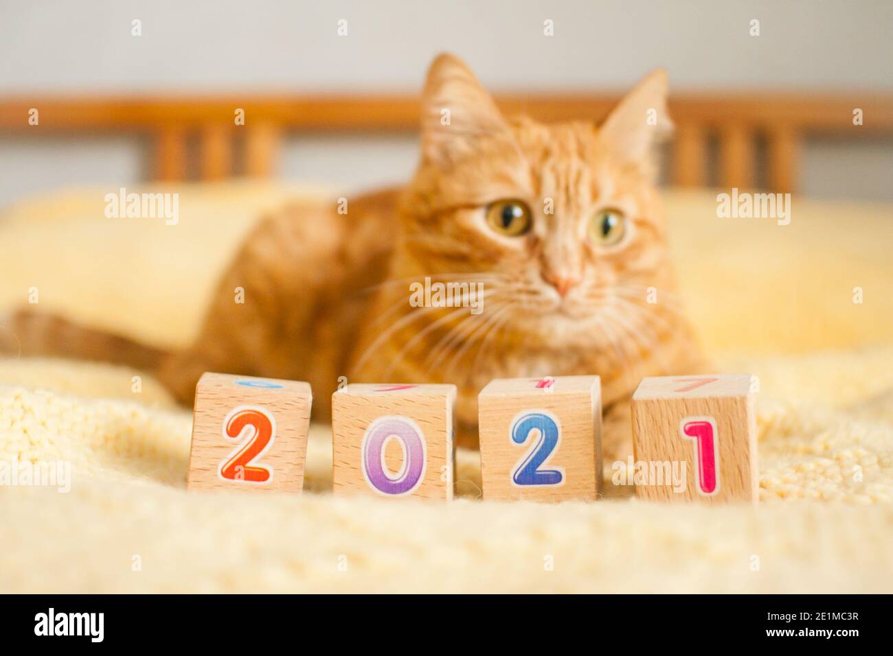 Fat childrens hi-res stock photography and images - Alamy