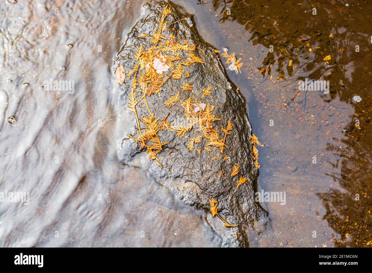 Ritchie falls conservation area minden hills haliburton ontario canada ...