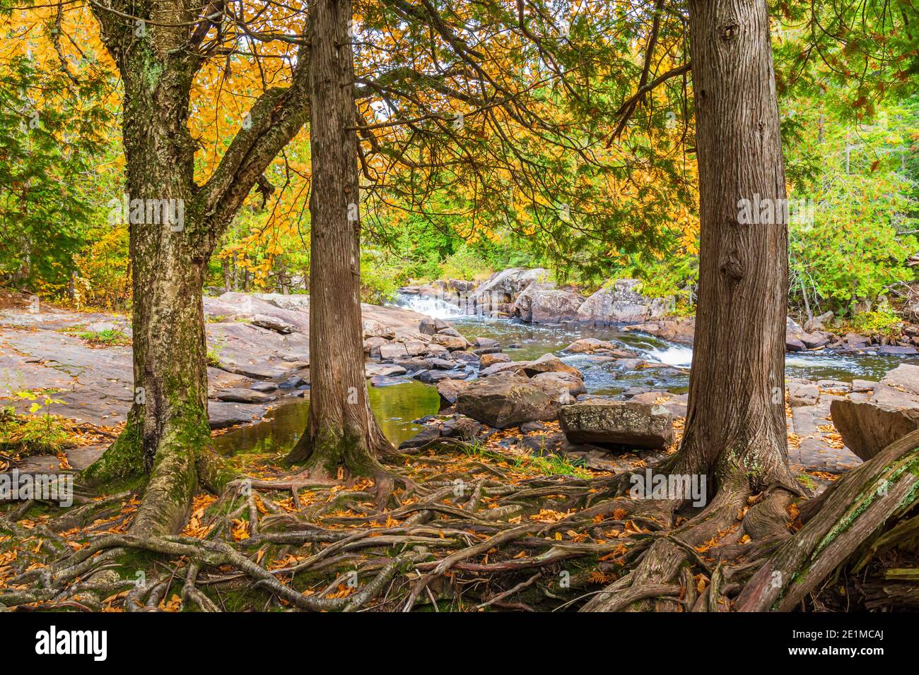 Ritchie falls conservation area minden hills haliburton ontario canada ...