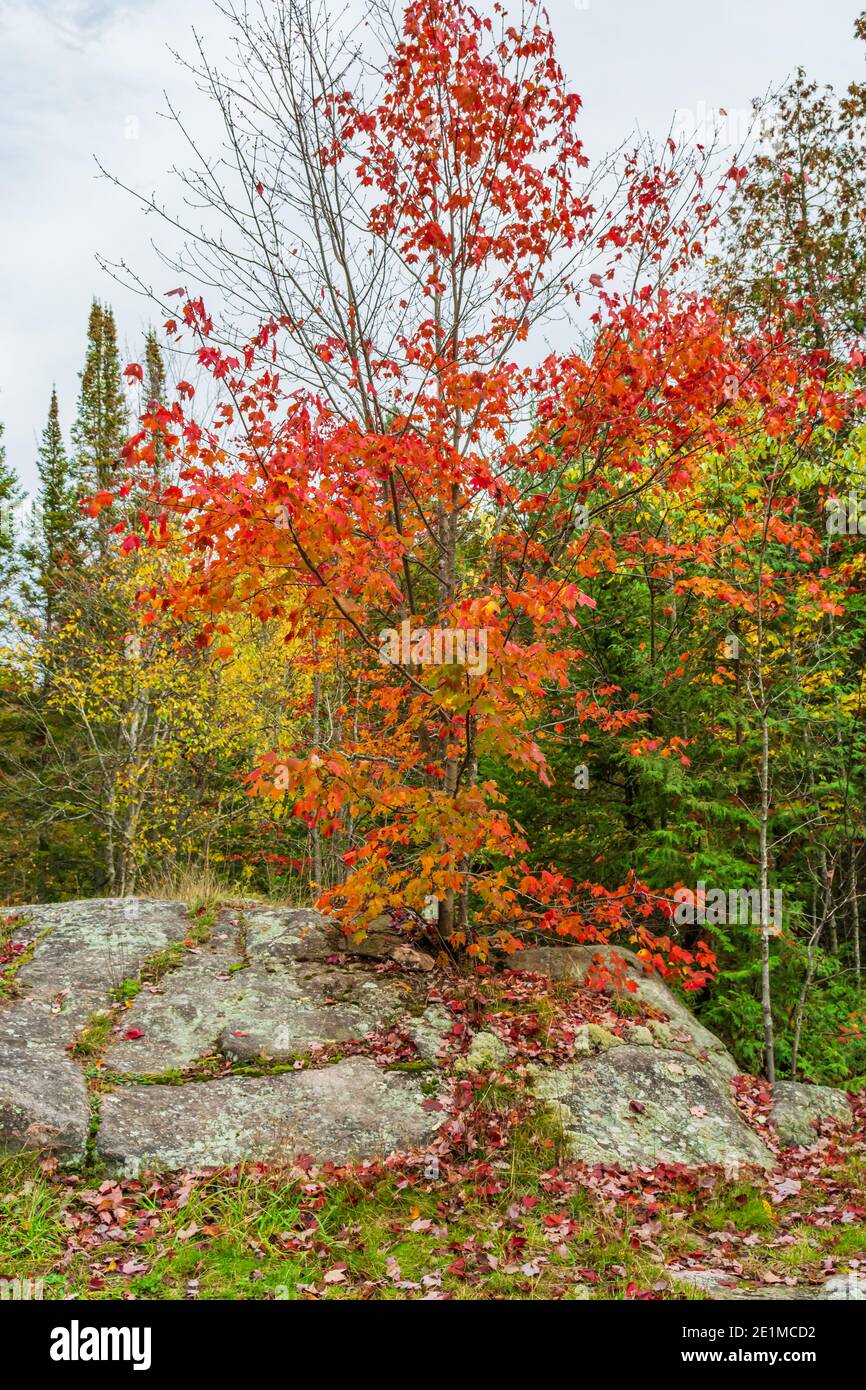 Ritchie falls hi-res stock photography and images - Alamy