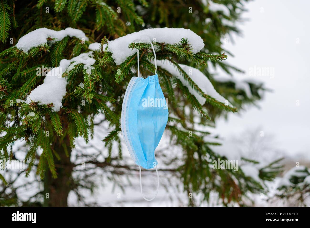 Face mask by christmas tree hi-res stock photography and images - Alamy