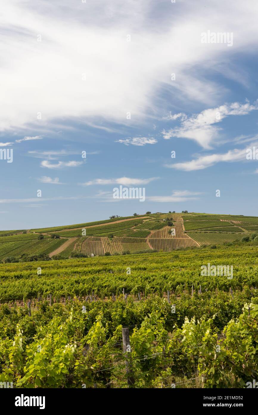 Tokaj hungary unesco hi-res stock photography and images - Alamy