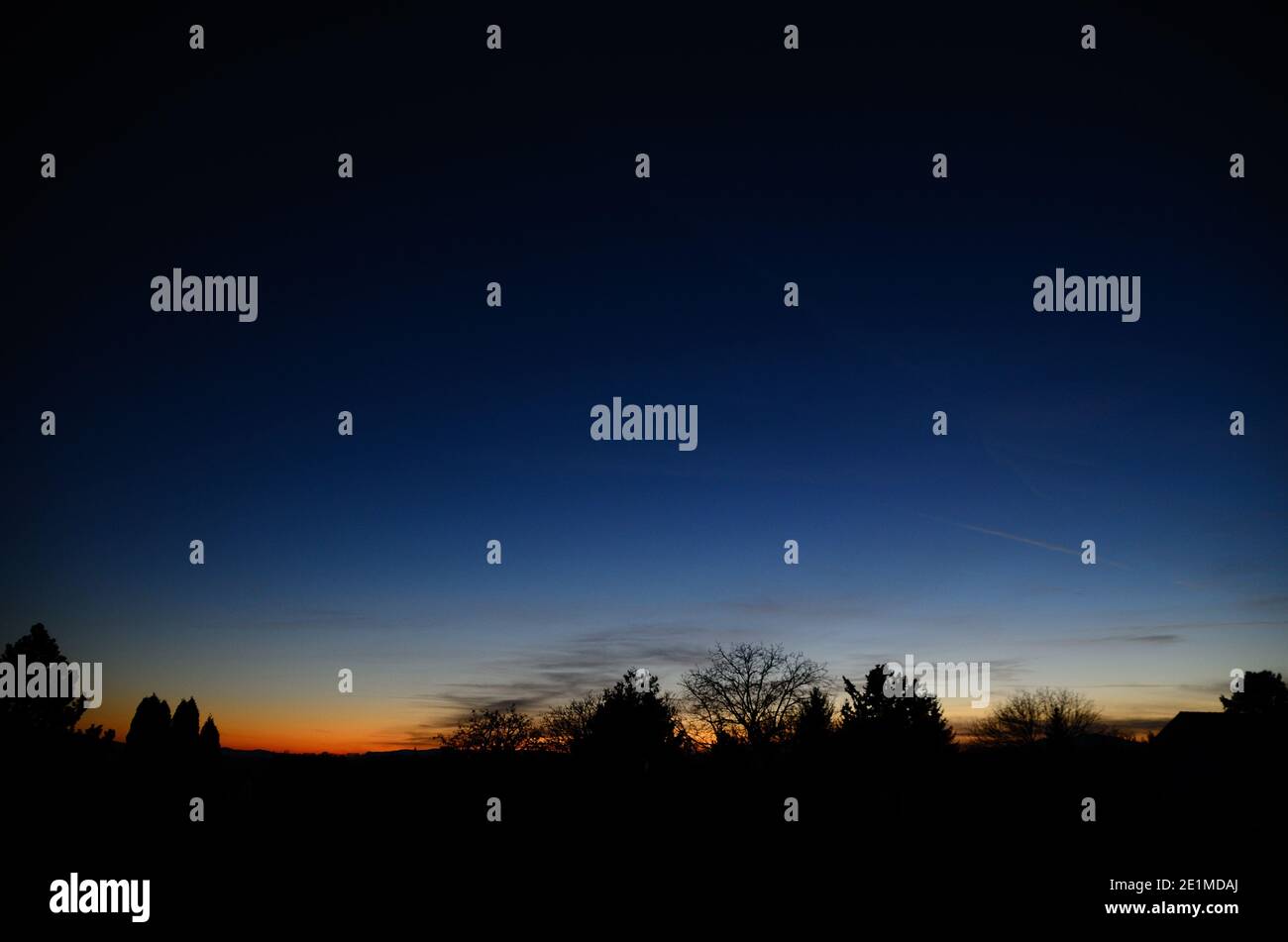 blue hour with black trees in the foreground Stock Photo - Alamy