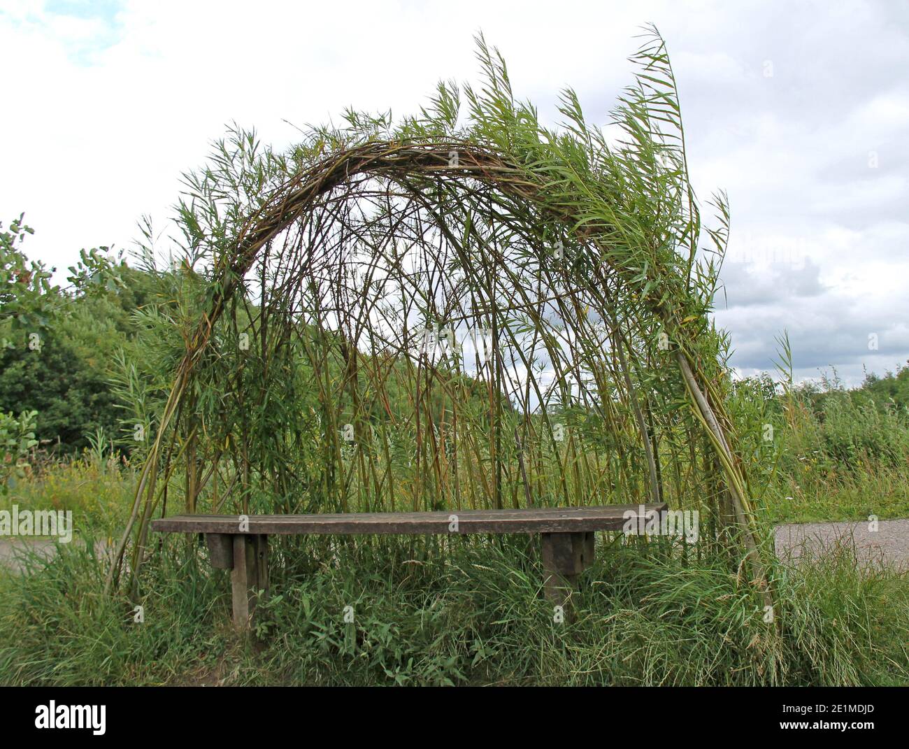 A Wooden Seat Set Under a Growing Willow Shelter Stock Photo - Alamy
