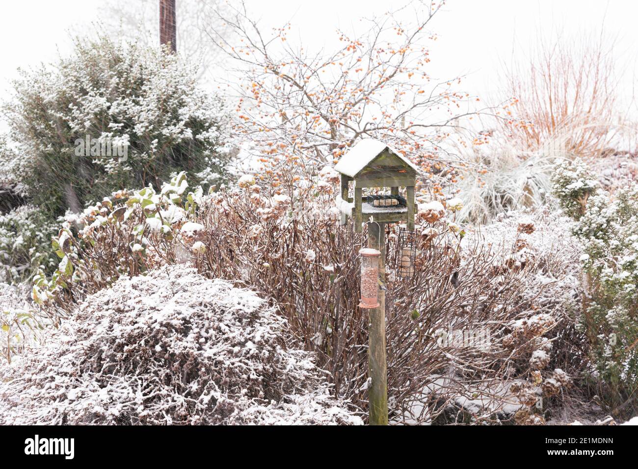 Garden bird table in the snow Stock Photo - Alamy