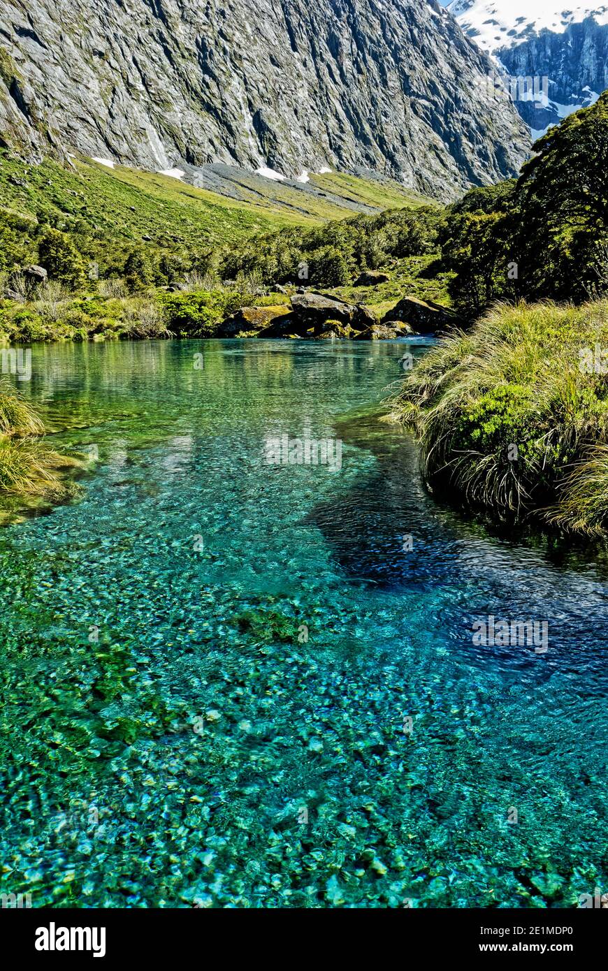 Clear mountain stream Stock Photo - Alamy