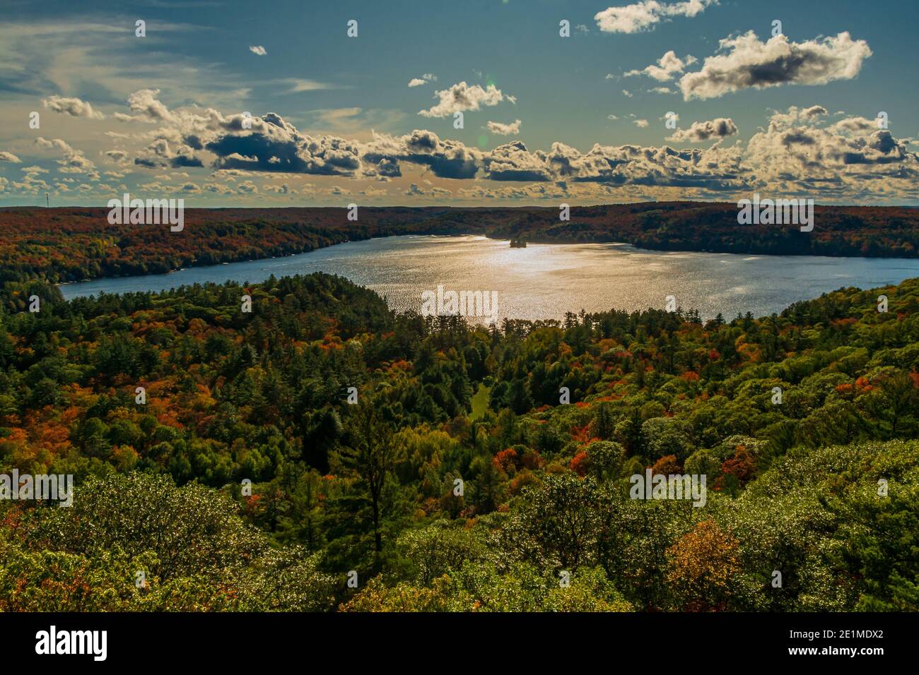 Dorset lookout tower autumn hi-res stock photography and images - Alamy