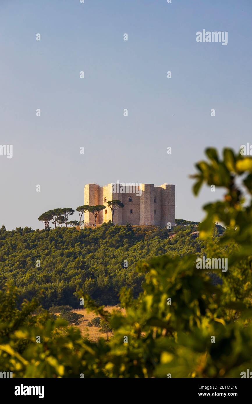 Castel del Monte, castle built in an octagonal shape by the Holy Roman ...