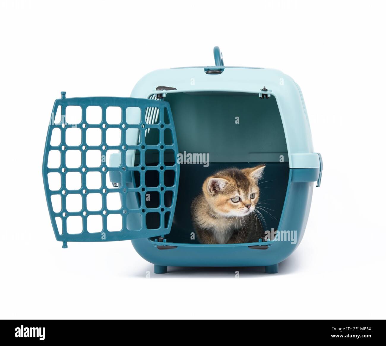 large plastic carrier cage for cats and dogs on white background ...