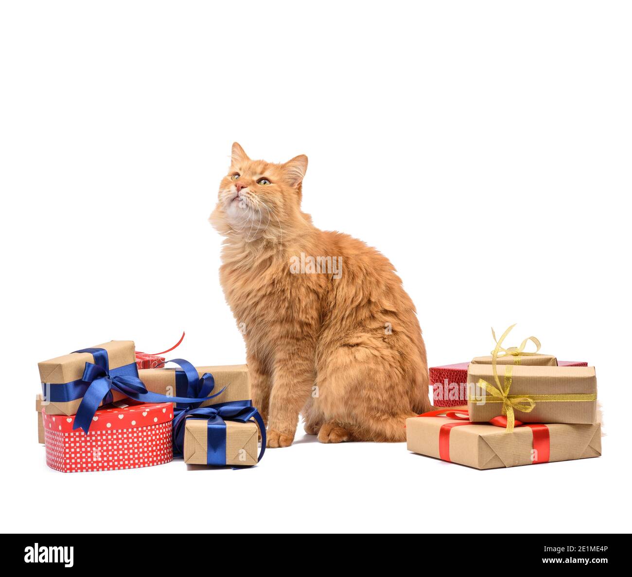 adult ginger cat sitting in the middle of boxes wrapped in brown paper ...