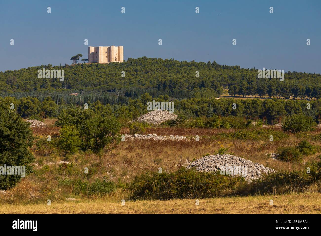 Castel del Monte, castle built in an octagonal shape by the Holy Roman ...