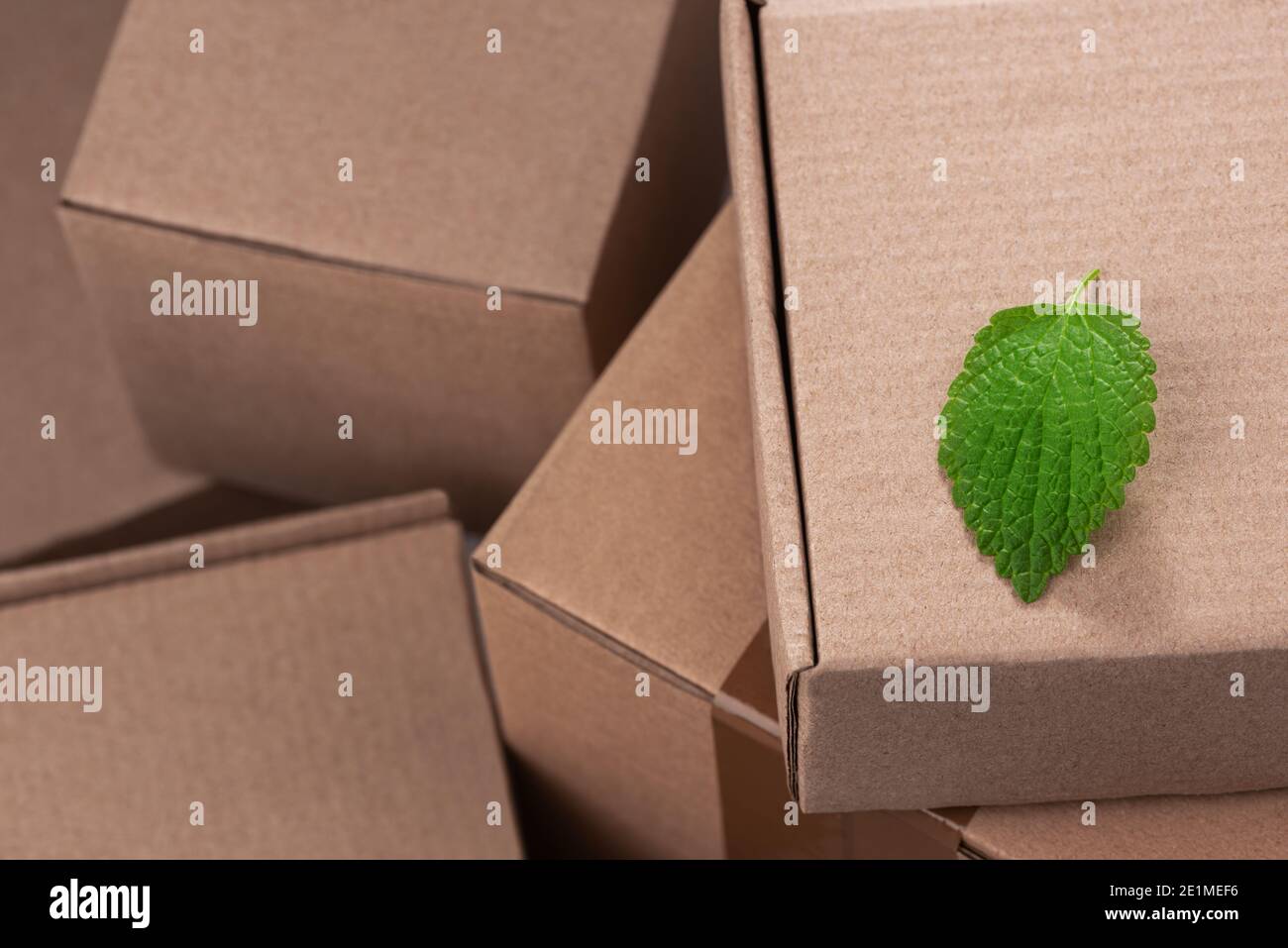 Green leaf on a pile of cardboard boxes Stock Photo - Alamy