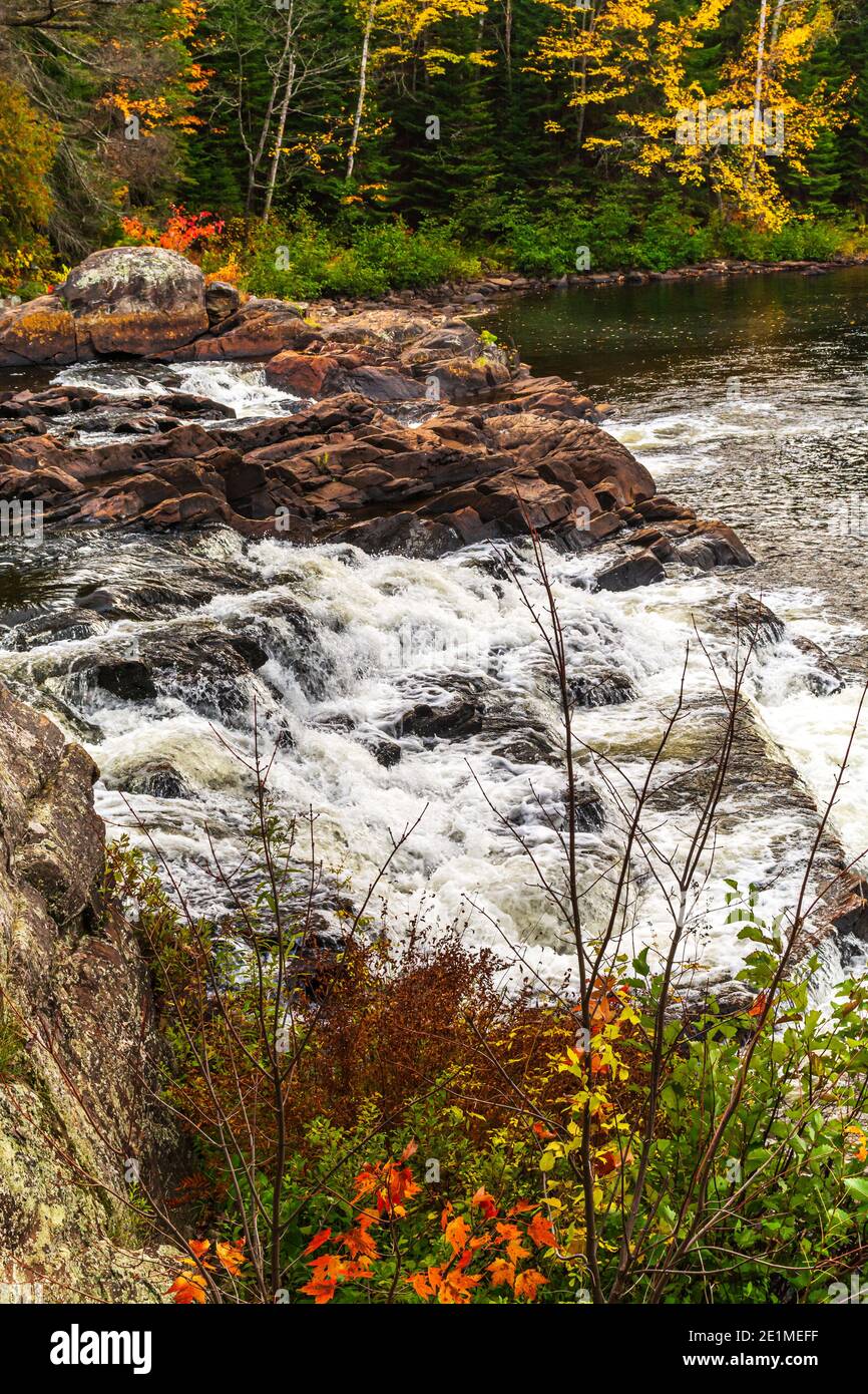 Marsh Falls Oxtongue River Muskoka County Dwight Ontario Canada Stock ...