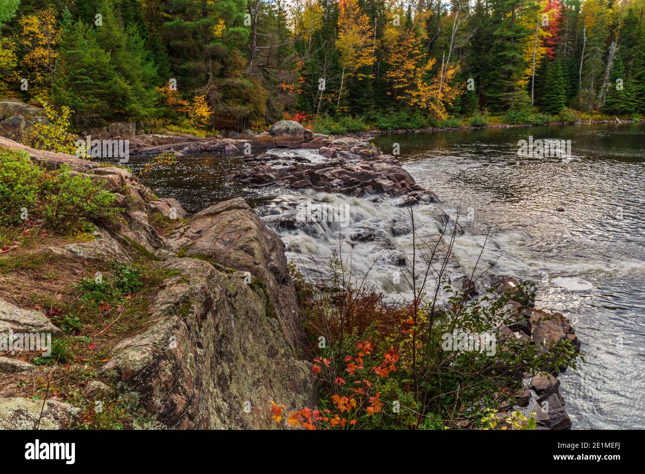 Marsh Falls Oxtongue River Muskoka County Dwight Ontario Canada Stock ...