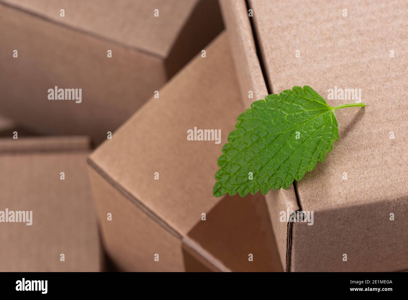 Green leaf on top of a pile of cardboard boxes Stock Photo - Alamy