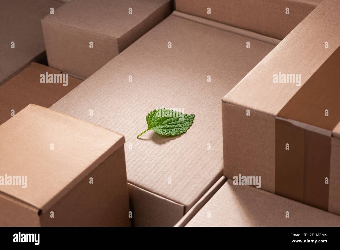 Fresh green leaf laying between cardboard boxes Stock Photo - Alamy