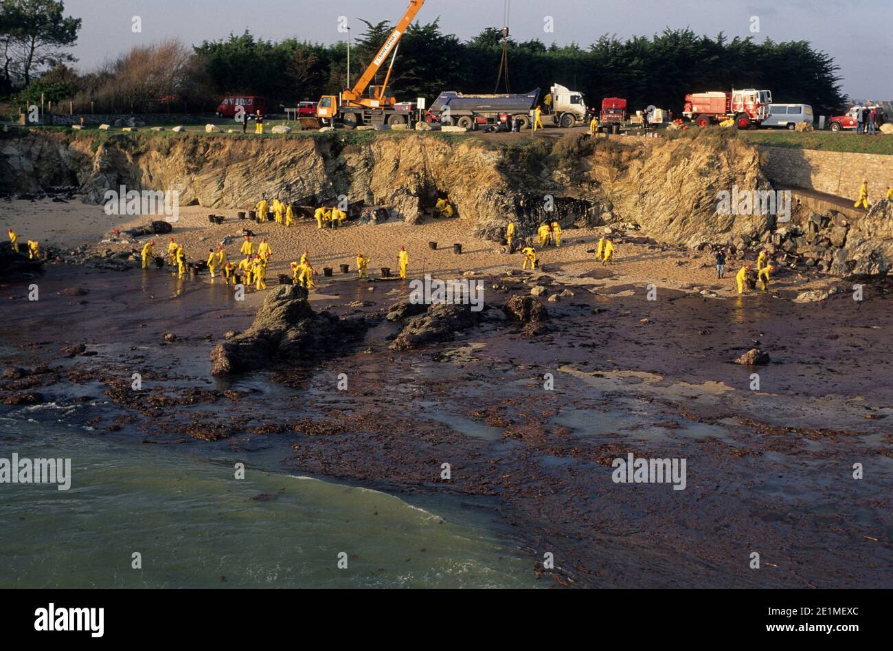 Oil spill caused by the sinking of the tanker Erika: cleaning of ...