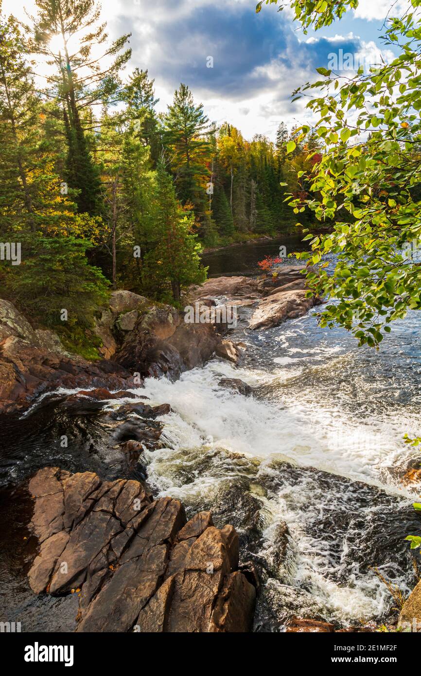 Marsh Falls Oxtongue River Muskoka County Dwight Ontario Canada Stock ...