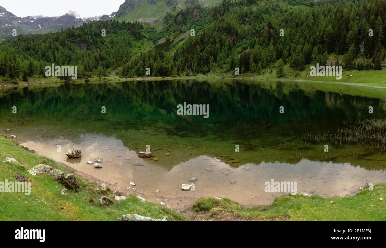 wonderful green reflection from the trees in a mountain lake panorama ...