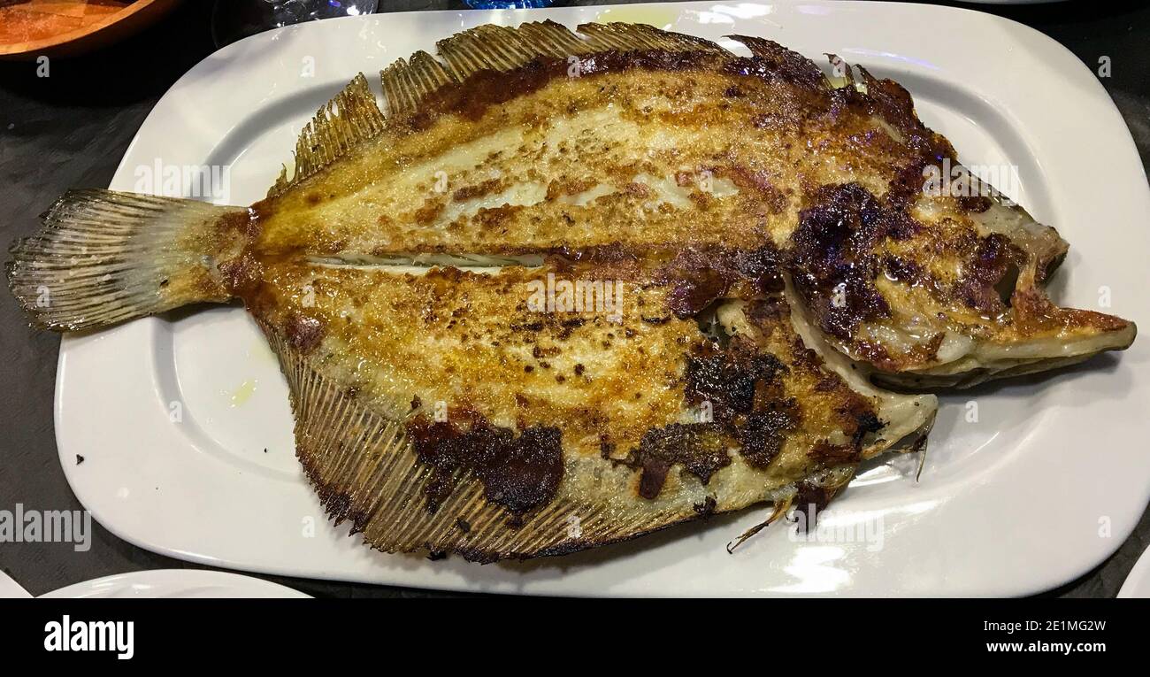 A top down authentic view of a large fresh grilled flounder on a simple ...