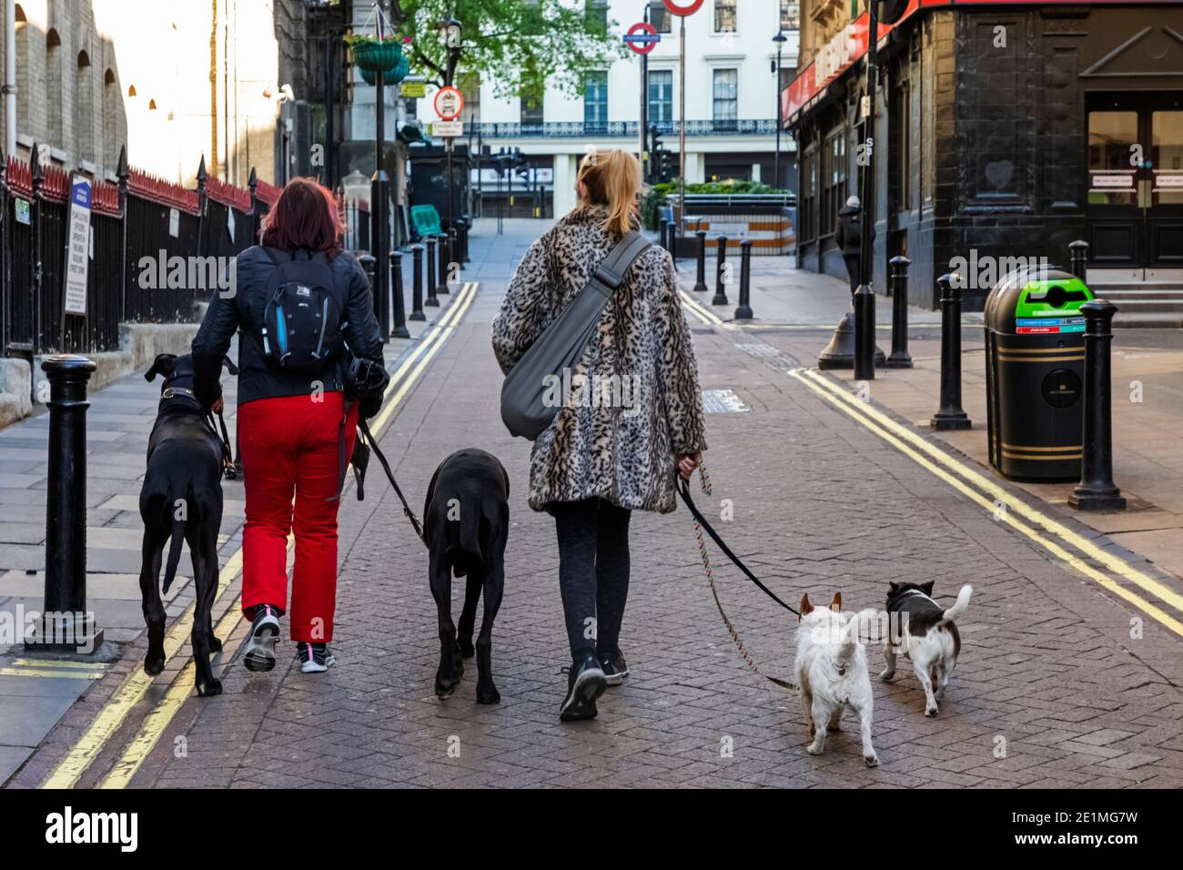 Two women and dog hi-res stock photography and images - Alamy