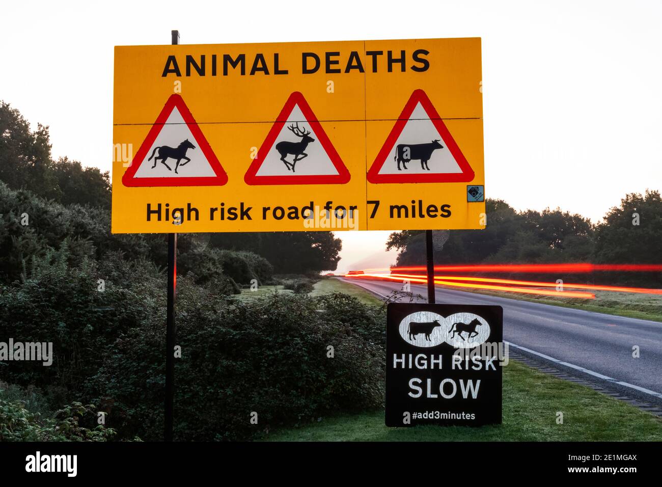 New forest road signs hi-res stock photography and images - Alamy