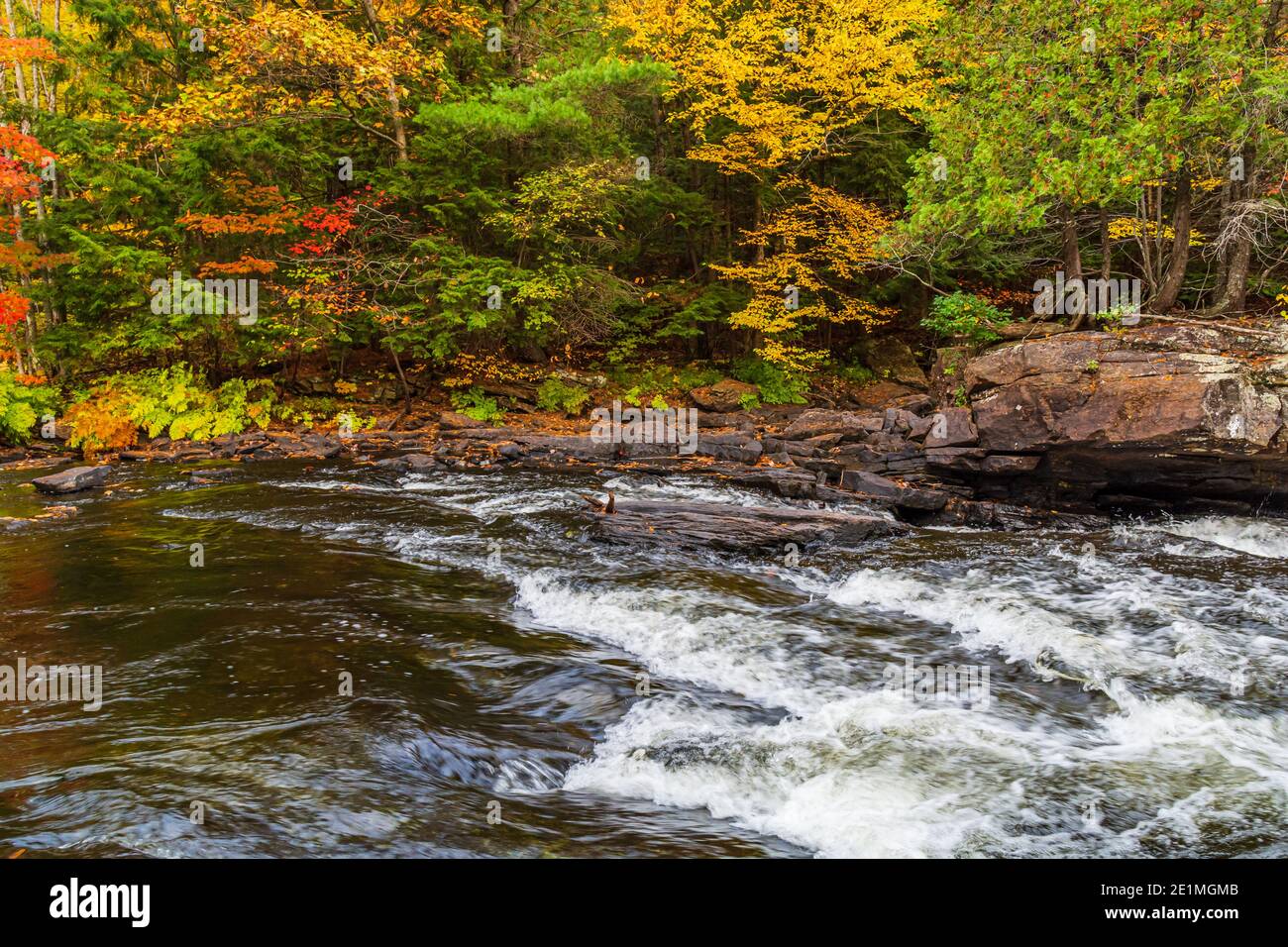 Oxtongue Rapids Provincial Park Muskoka Highlands Dwight Ontario Canada ...