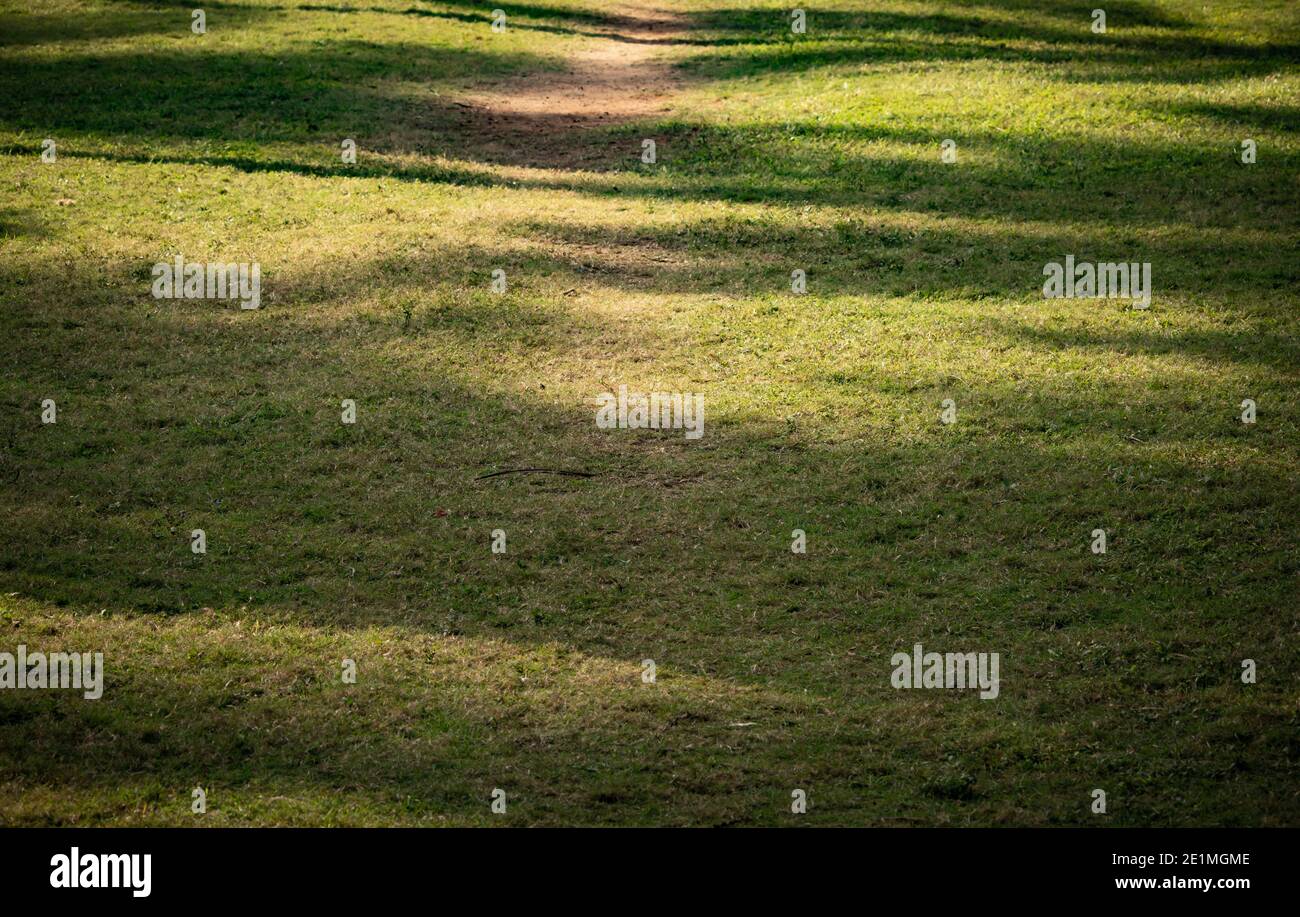 Beautiful lawn for recreation activities. Landscaped grass area in a ...