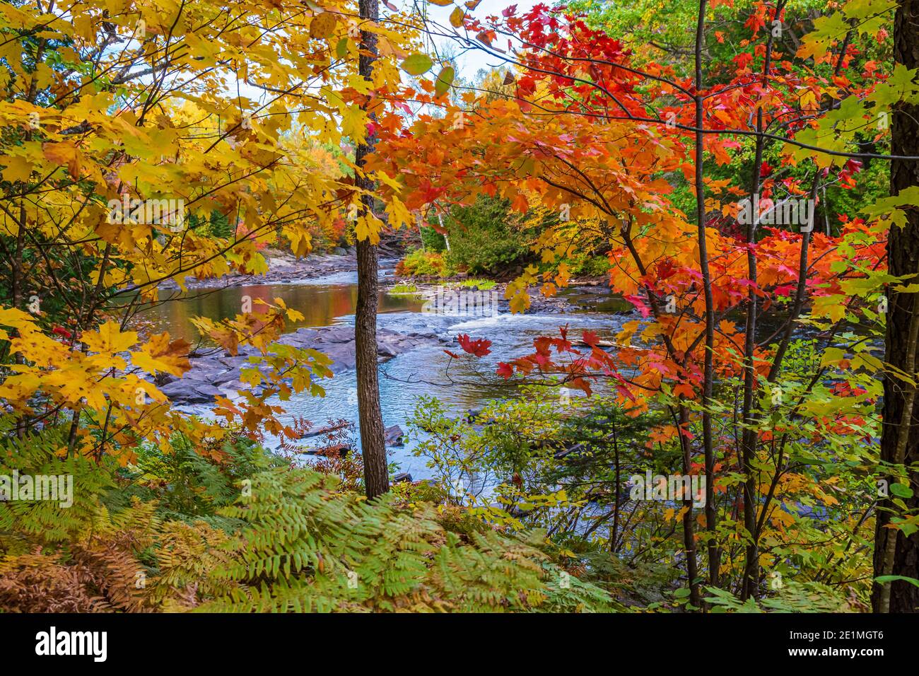 Oxtongue rapids provincial park hi-res stock photography and images - Alamy