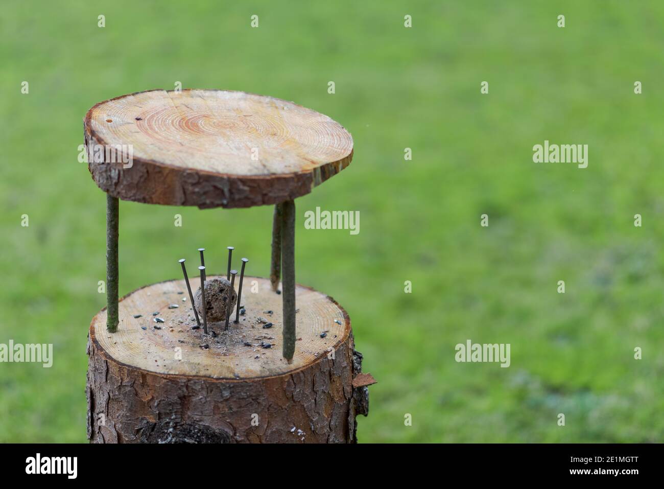 Simple and minimalist do it yourself homemade bird feeder made of tree ...